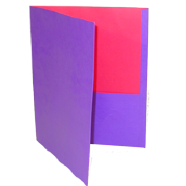 ROARING SPRING Double Dip Folder Paper 2-pkt Astd