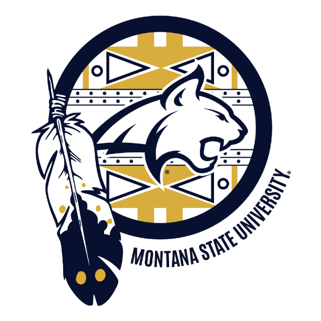 AIC Multi Color Feather Sticker | MSU Bookstore