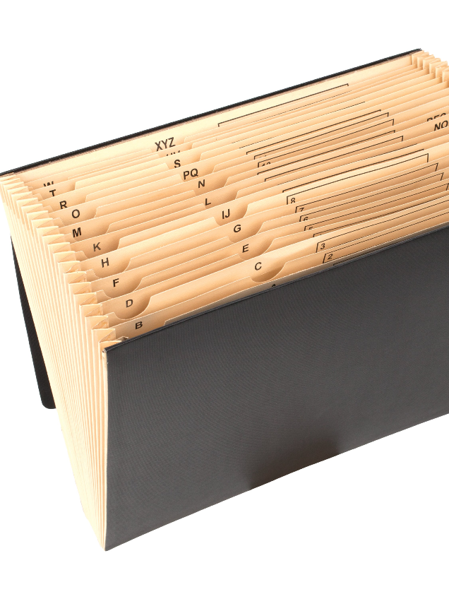 Mead All-Purpose File 21 Pockets