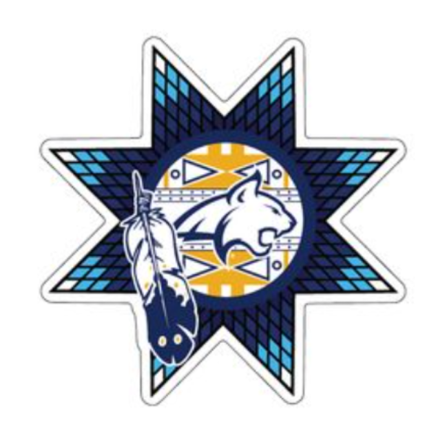 MSU AIC Star 3.5" Rugged Sticker | MSU Bookstore